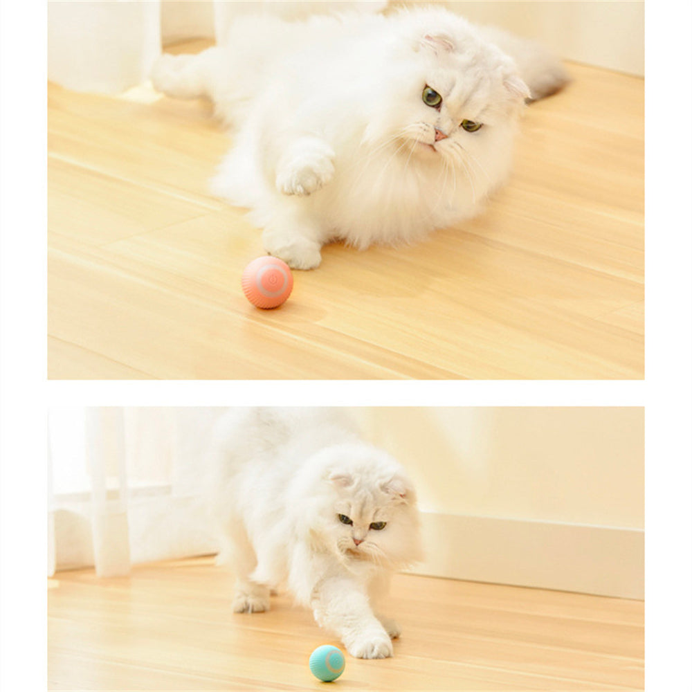 Automatic Rolling Ball for Cats– SaVas goodies